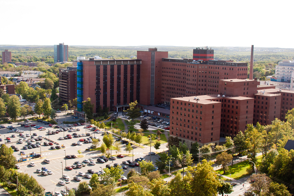 Fellowships – TWJ Foundation